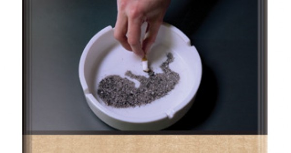 CAMEL 20S ESSENTIAL BROWN